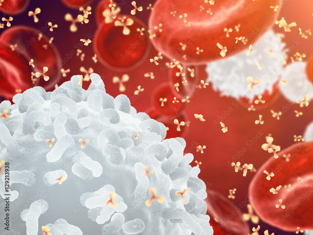 White , red blood cells and antibodies , Leukocytes , Infectious ...