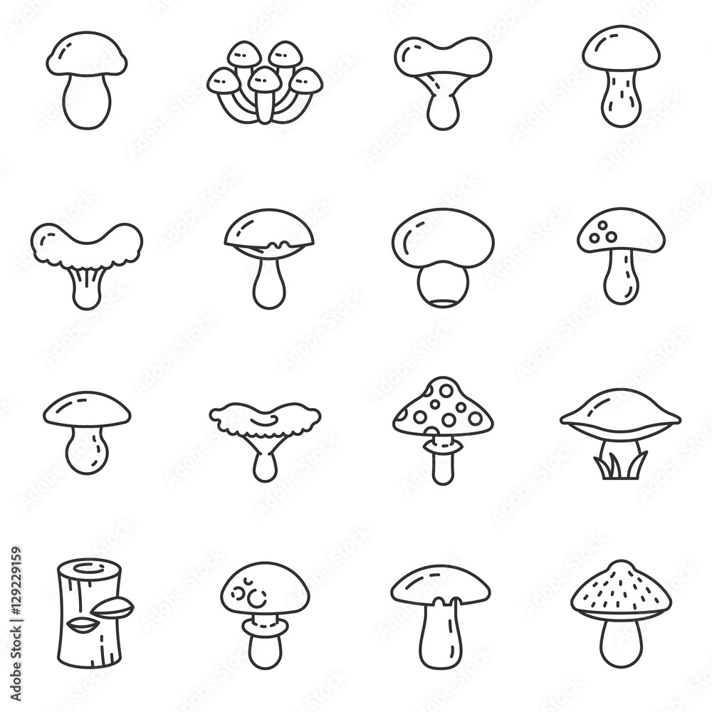 Mushrooms icons set. Mushroom stem and cap, thin line design. The body ...