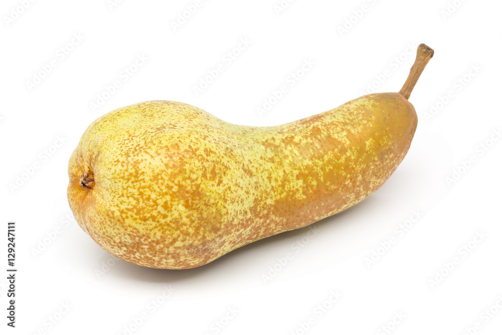 Poster Single whole, uncut "abate fetel" pear – Wall Art | UkPosters