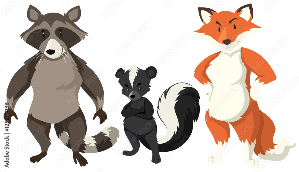 Three types of wild animals Stock Vector | Adobe Stock