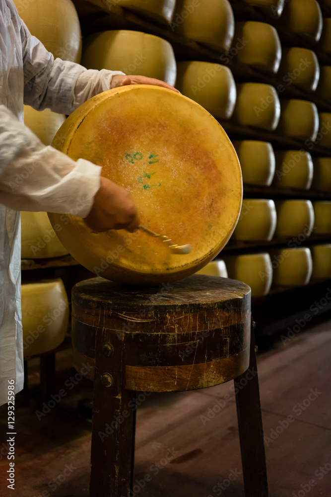 Experienced worker in cheese factory testing quality of parmesan Stock ...
