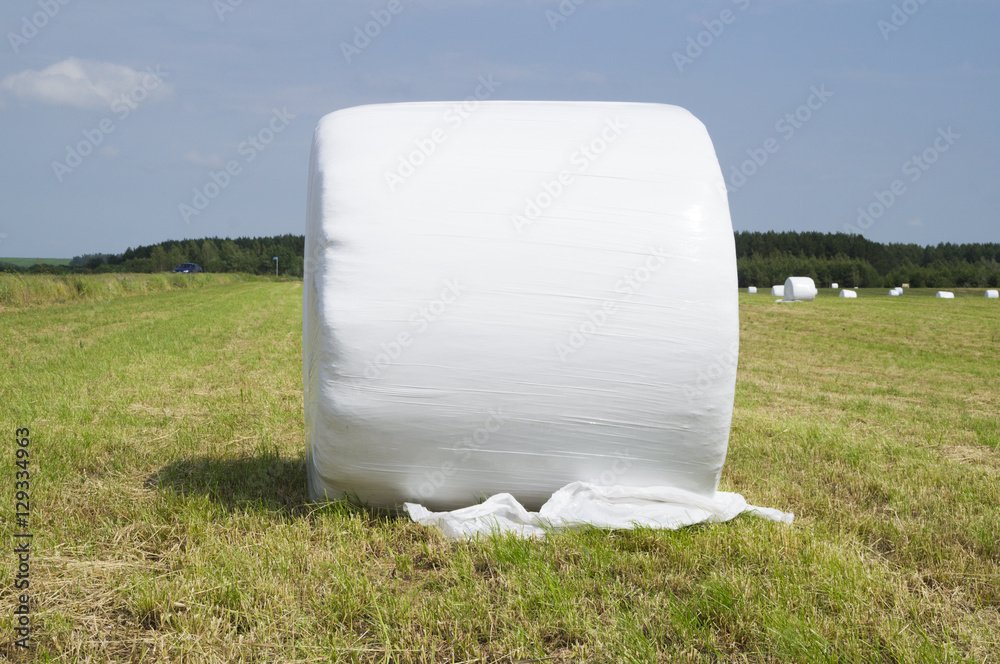 тюк соломы круглой формы в полиэтиленовой плёнке на поле Stock Photo ...