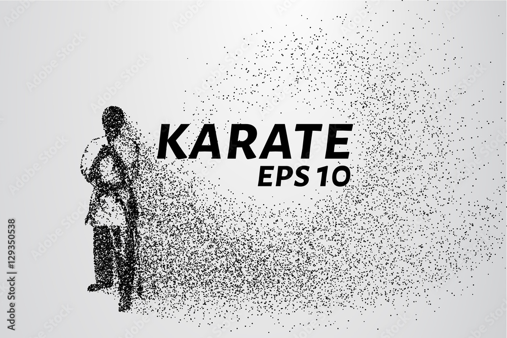 Karate of particles. Karate consists of circles and points. Vector ...