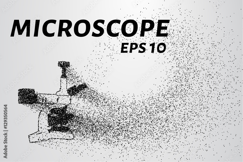 The microscope of the particles. The microscope consists of circles and ...