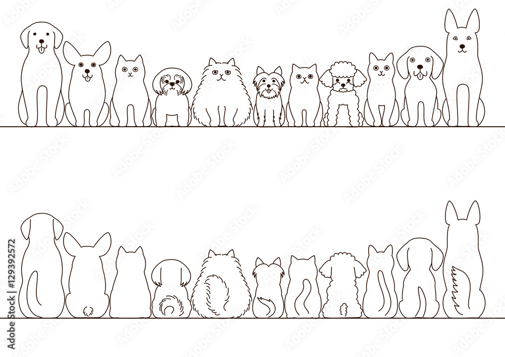 Cat And Dog Border