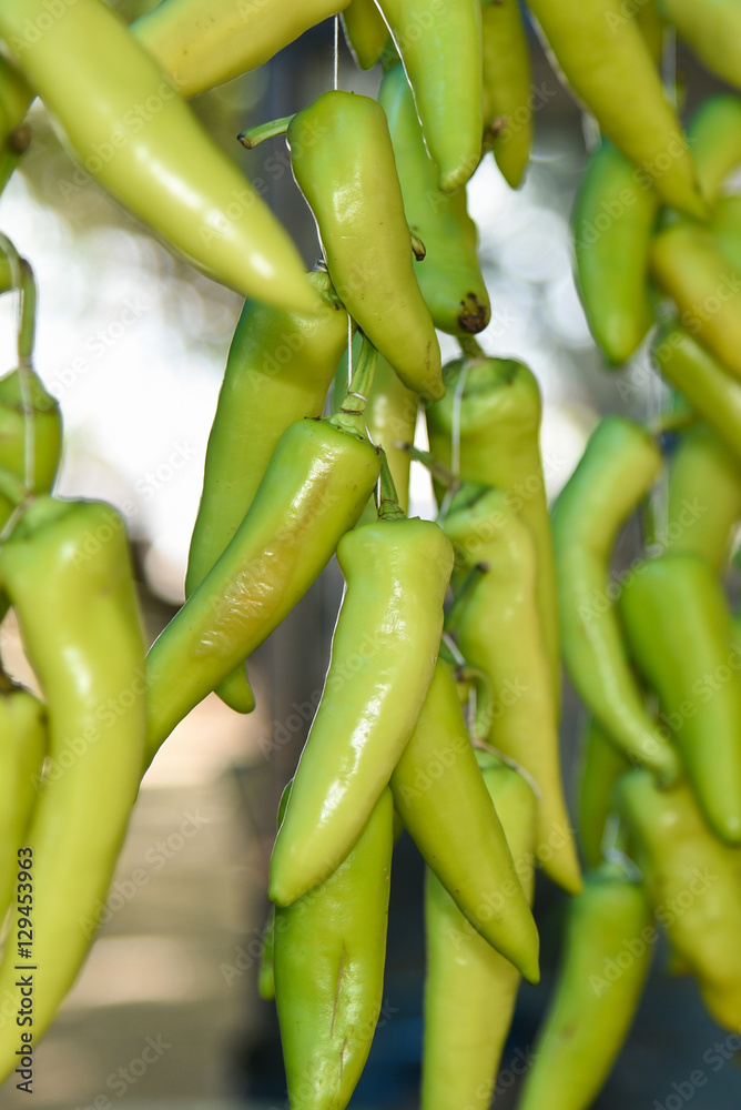 many big green chili peppers. Indian hot and spicy chilly used to make ...