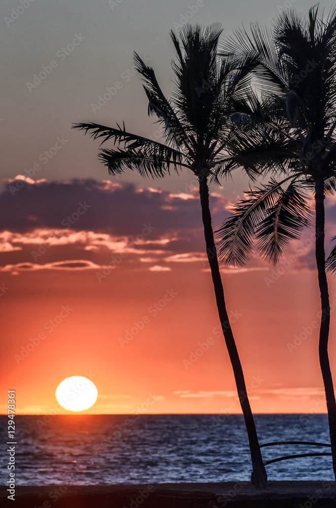 Tropical island sunset with palm tree silhouettes and red sky Stock ...