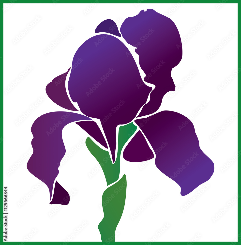 vector iris flower. Vector illustration. Stock Vector | Adobe Stock