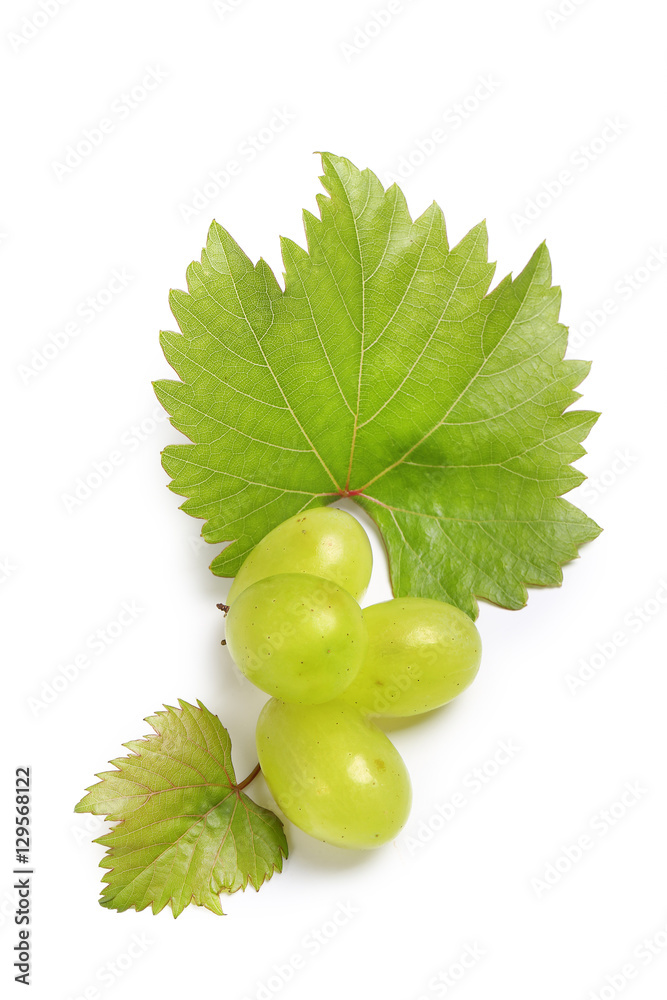 raisin vert Photos | Adobe Stock