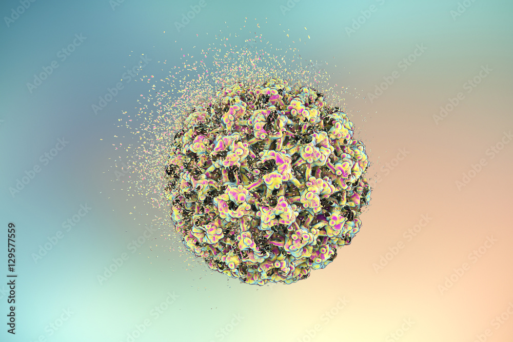 Destruction of Human Papillomavirus (HPV), 3D illustration. Concept for ...