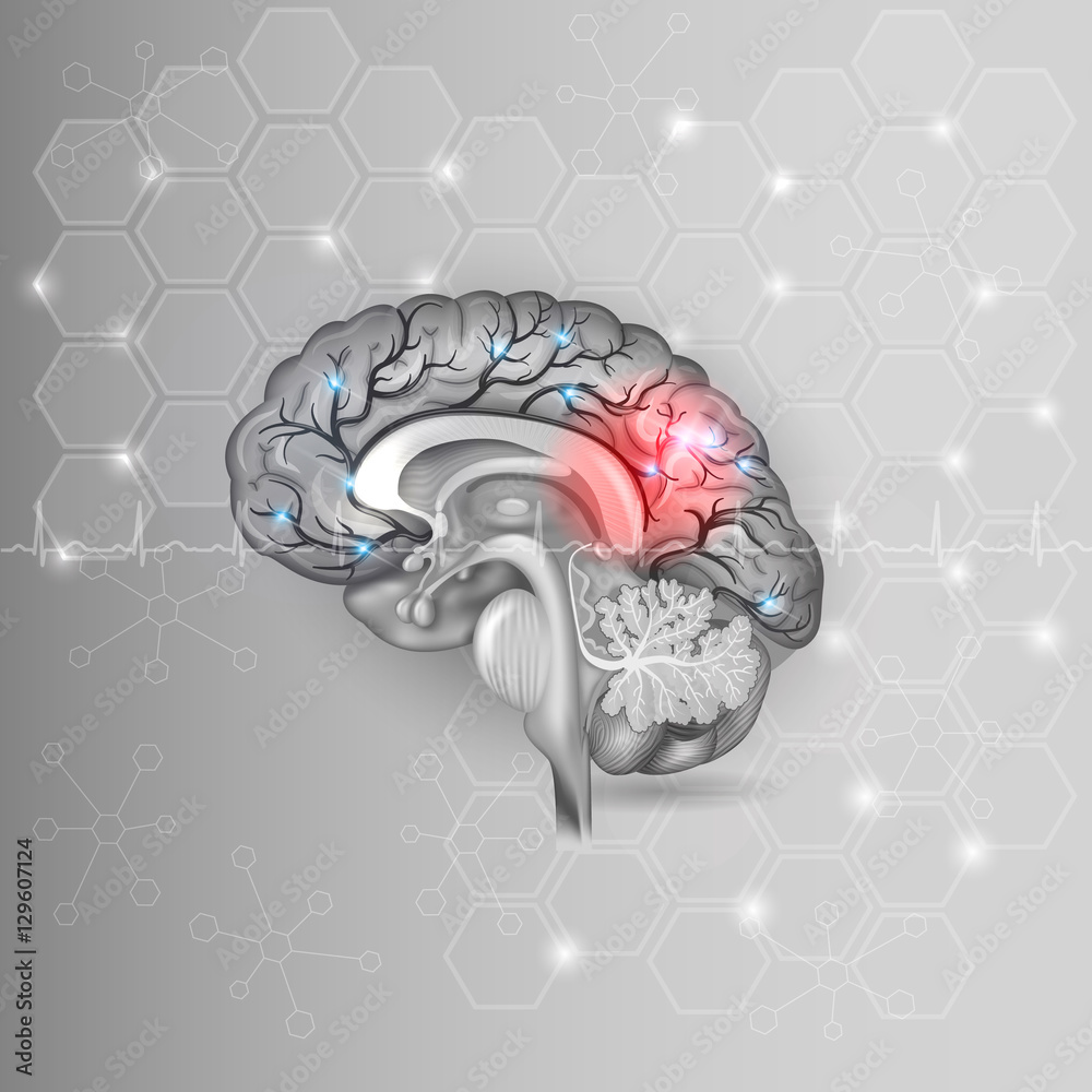 Human brain with red light abstract light grey hexagon background and ...
