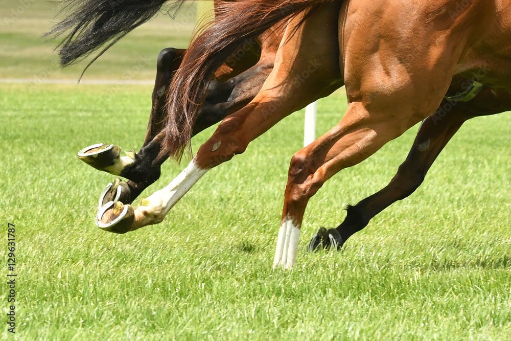 Horse racing action Stock Photo | Adobe Stock