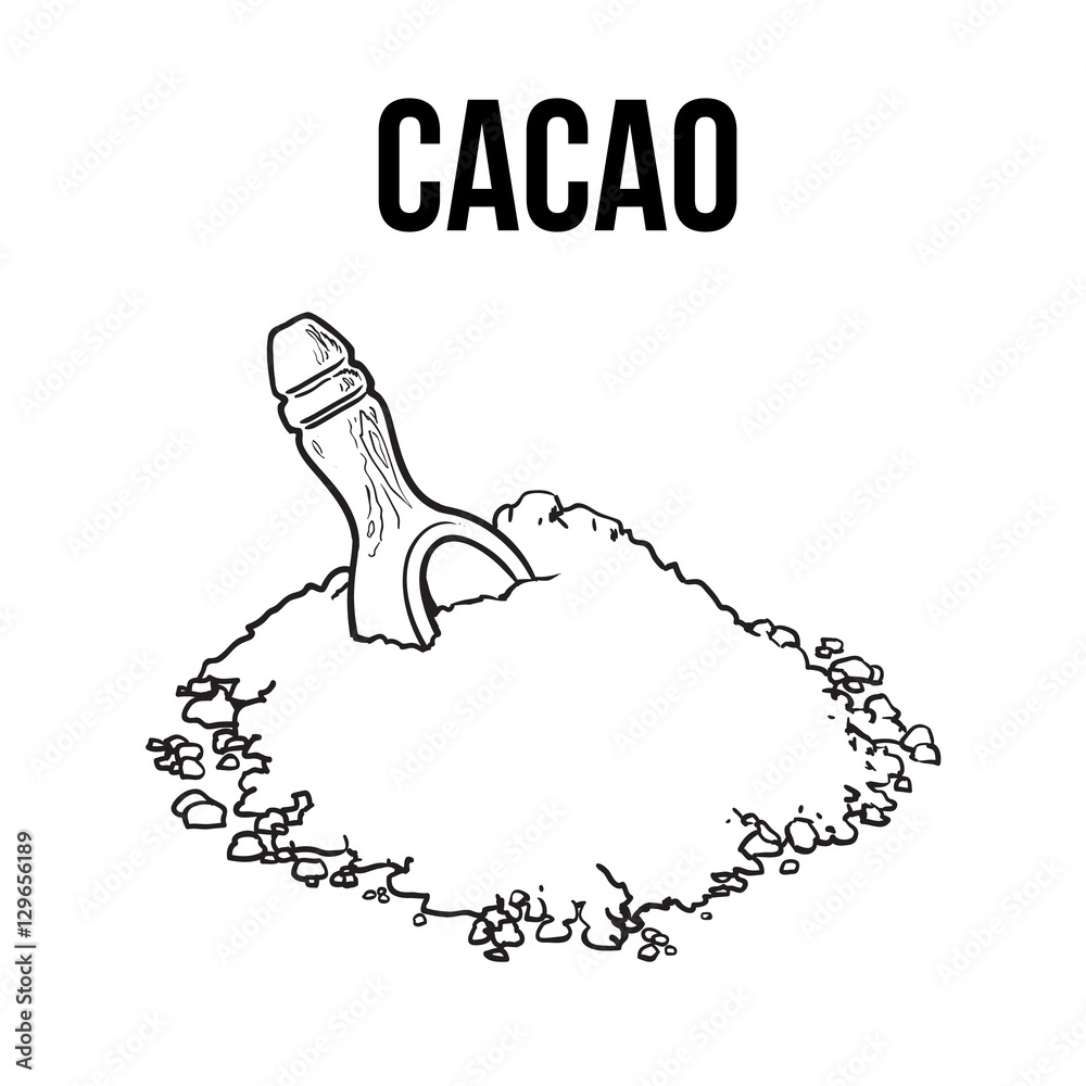 Hand drawn pile of cocoa powder with a wooden scoop, sketch style ...