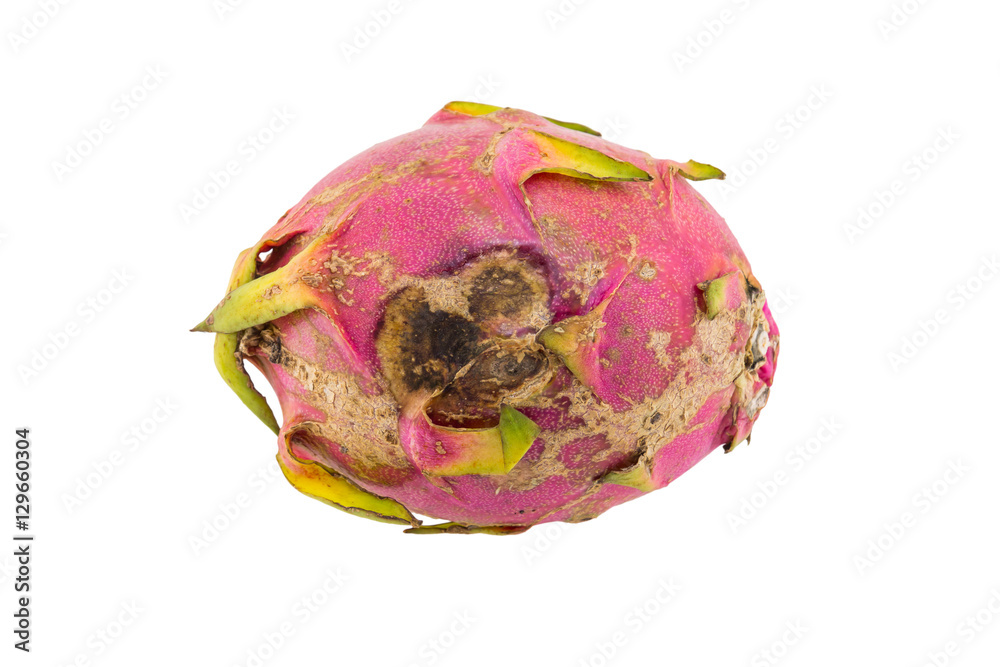 Rotten dragon fruit isolated on white background Stock Photo | Adobe Stock