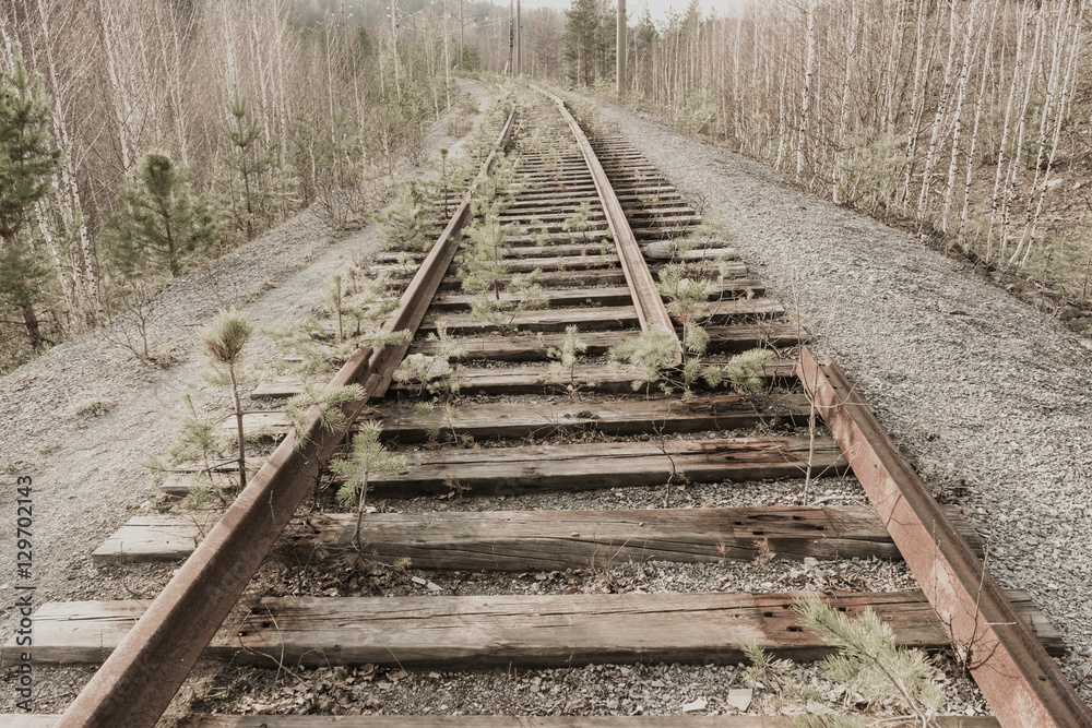 railroad tracks stretching into the distance. railroad track abandoned ...