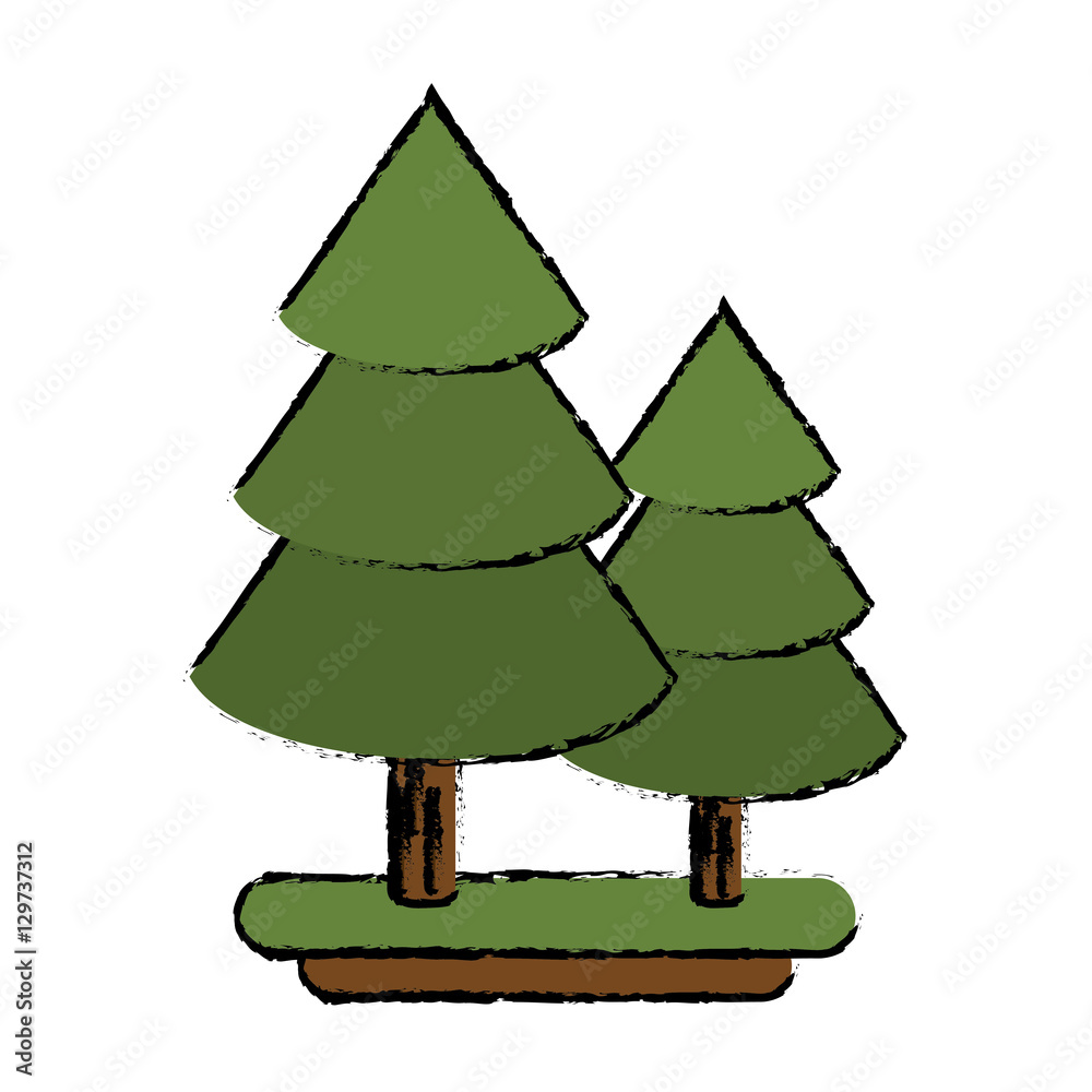 canadian evergreen tree pine sketch vector illustration eps 10 Stock ...