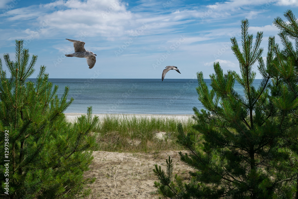 Blick auf die Ostsee in Prora hinter dem KdF oder dem Koloss von Rügen ...