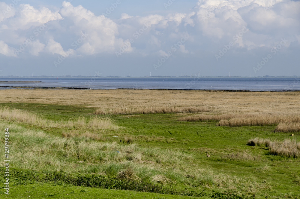 Foto Stock Parc national de la Mer des Wadden de Basse Saxe ...