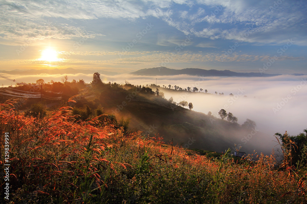 Beautiful scenery during sunrise with the mist at Ban Huay Kon ,Chaloem ...