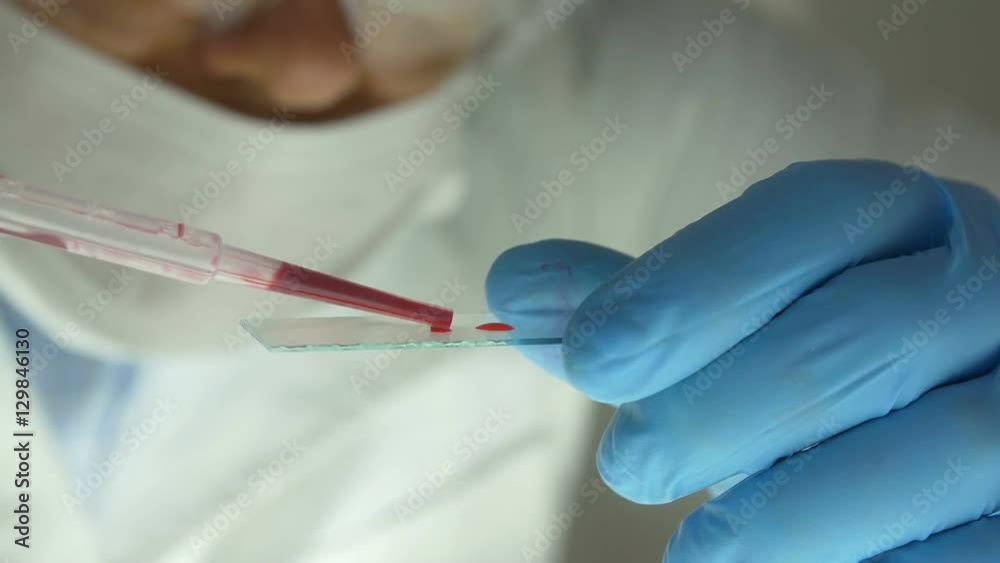 chemist pouring drops of sample with accuracy on a slide, chemistry ...