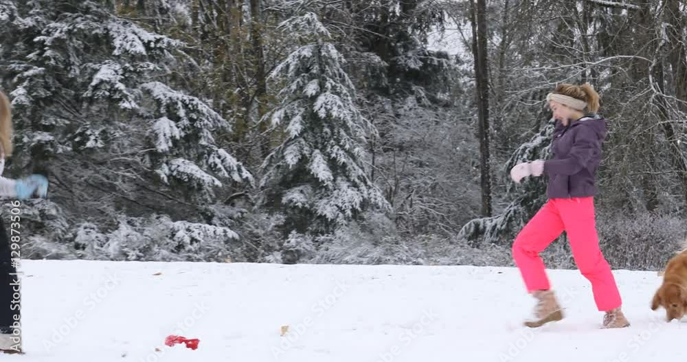 Winter snowball fight Stock Video | Adobe Stock