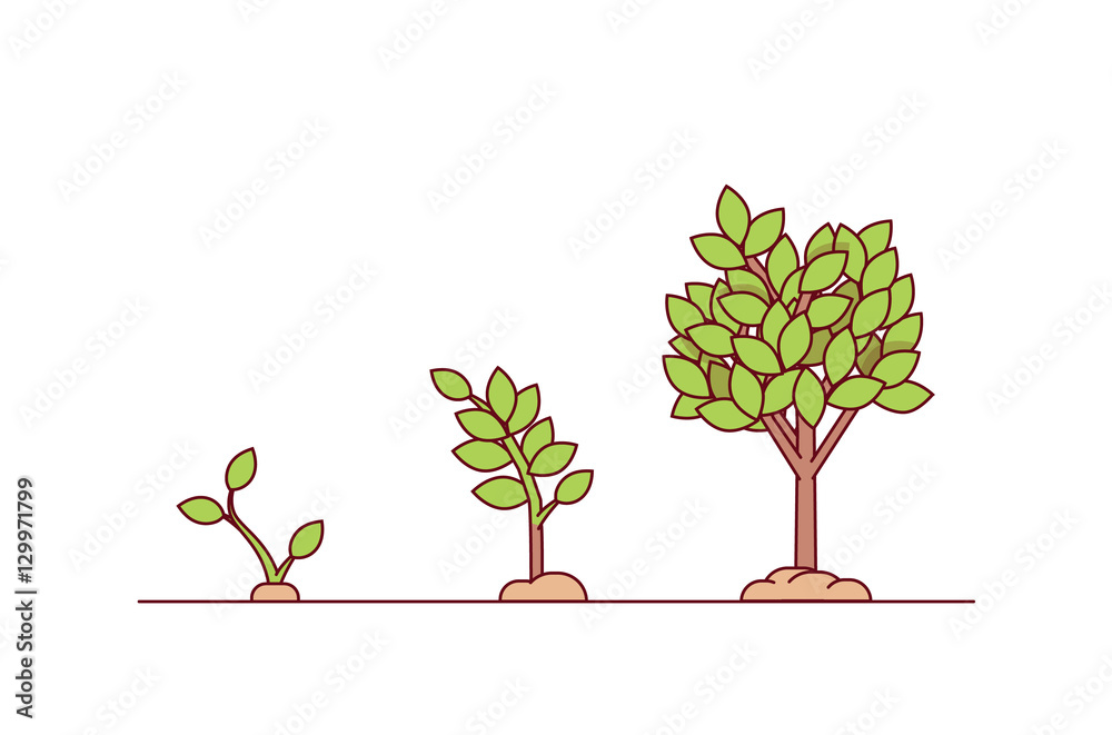 Growing Tree Clipart