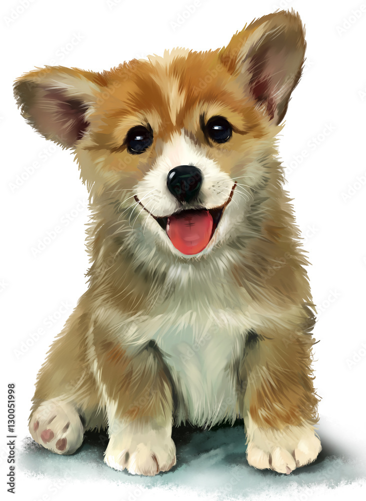 Corgi Puppy Stock Illustration | Adobe Stock