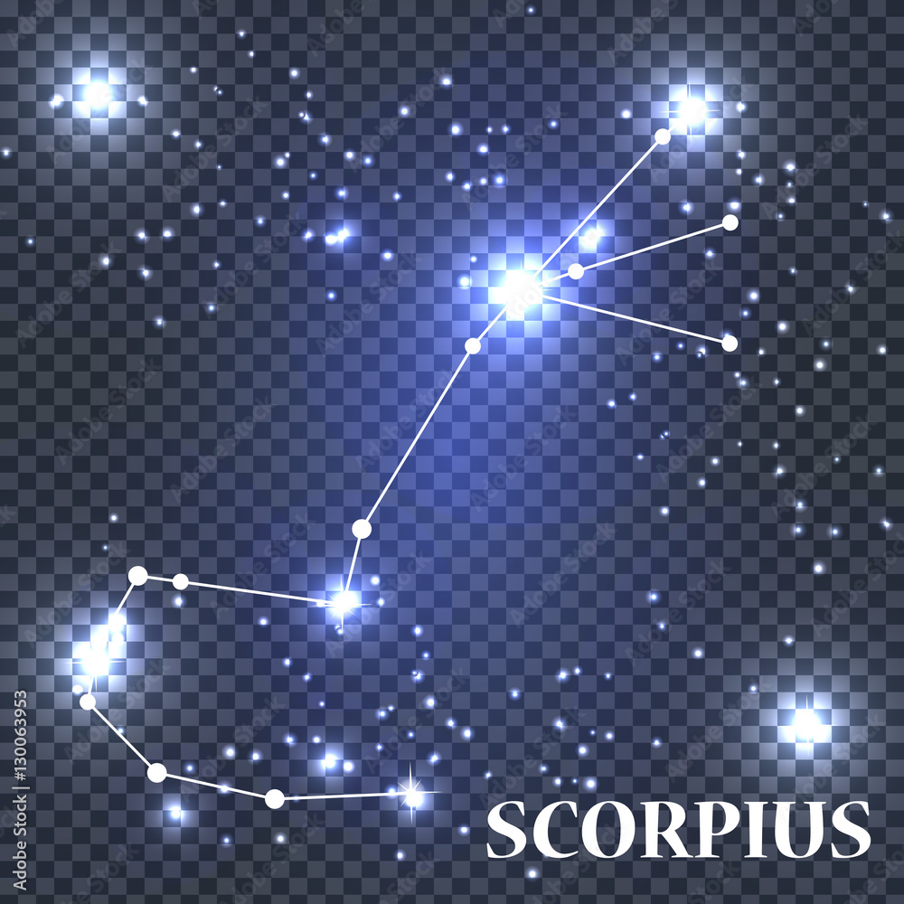 Symbol Scorpius Zodiac Sign. Vector Illustration. Stock Vector | Adobe ...