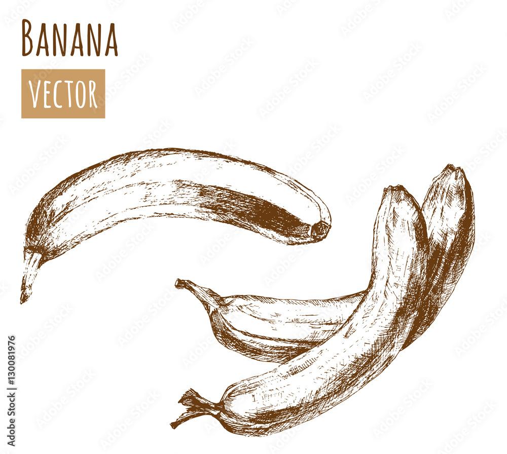 Set of whole bananas (tropical fruit), hand draw sketch, outline on ...