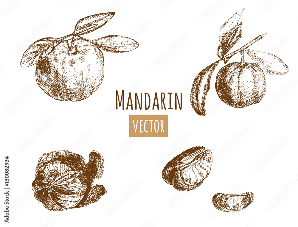 Set of orange, mandarin, whole fruit and leaves, half of peeled ...