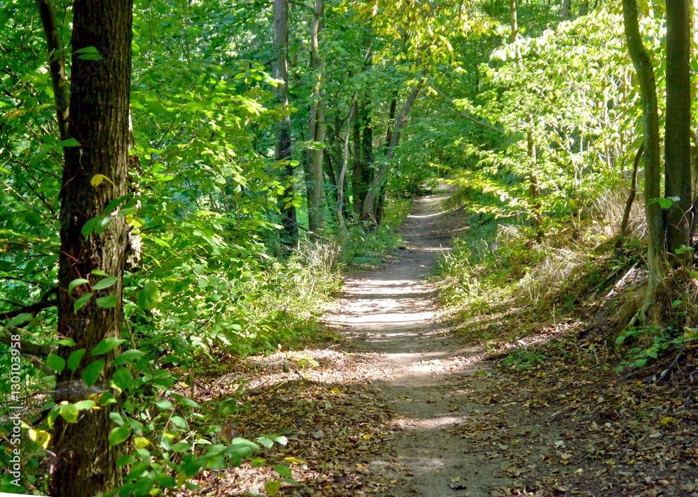 Waldwege A4 Stock-Foto | Adobe Stock
