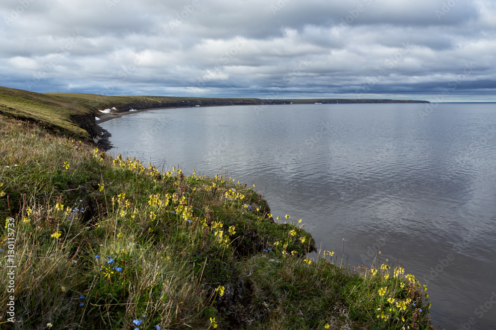 Laptev Sea