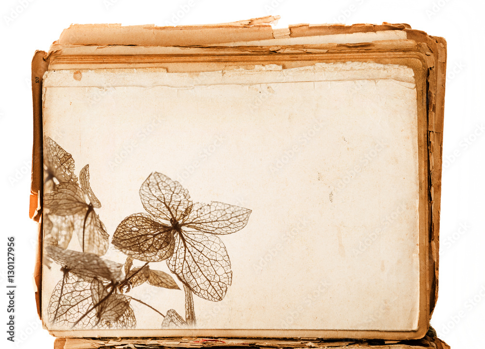 old book - old paper texture in detail Stock Photo | Adobe Stock