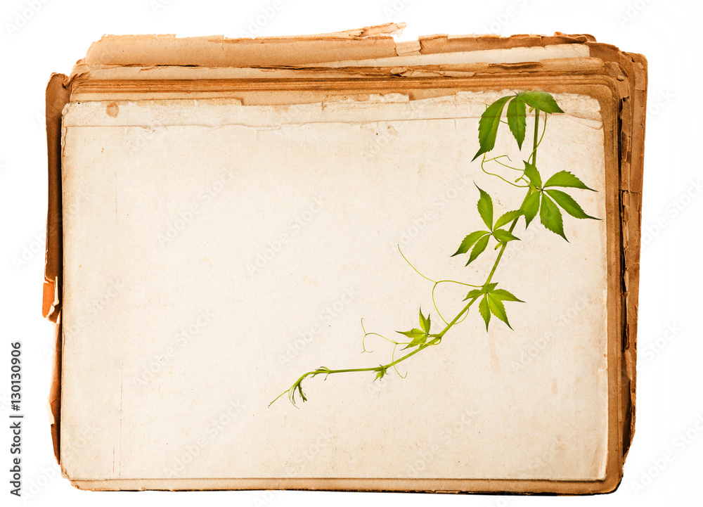 old book - old paper texture in detail Stock Photo | Adobe Stock