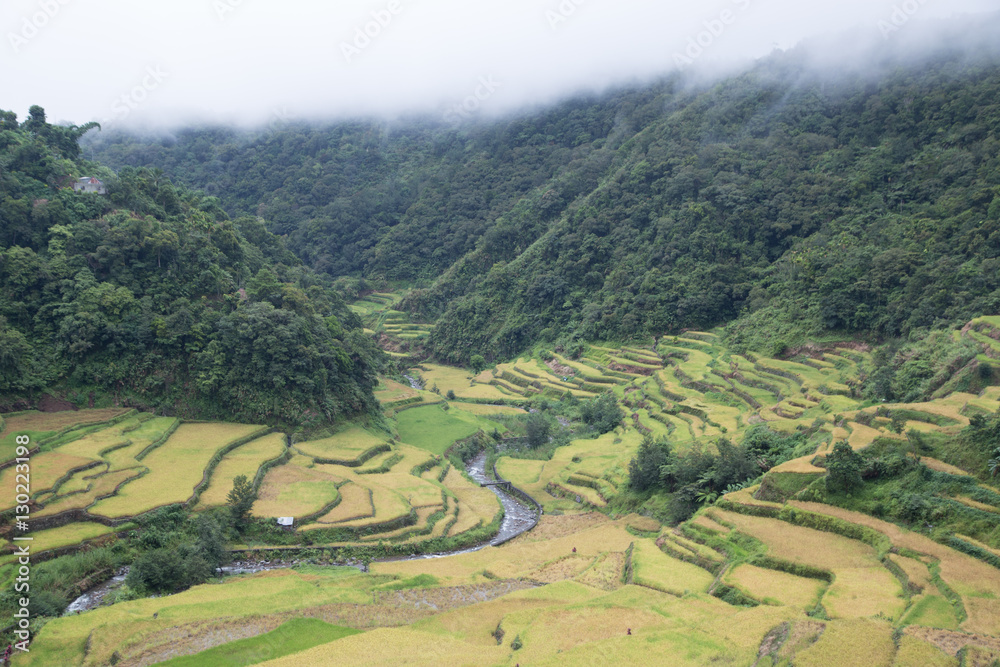 “Stairway to heaven”, Banaue rice terracces, Rice Terraces of the ...