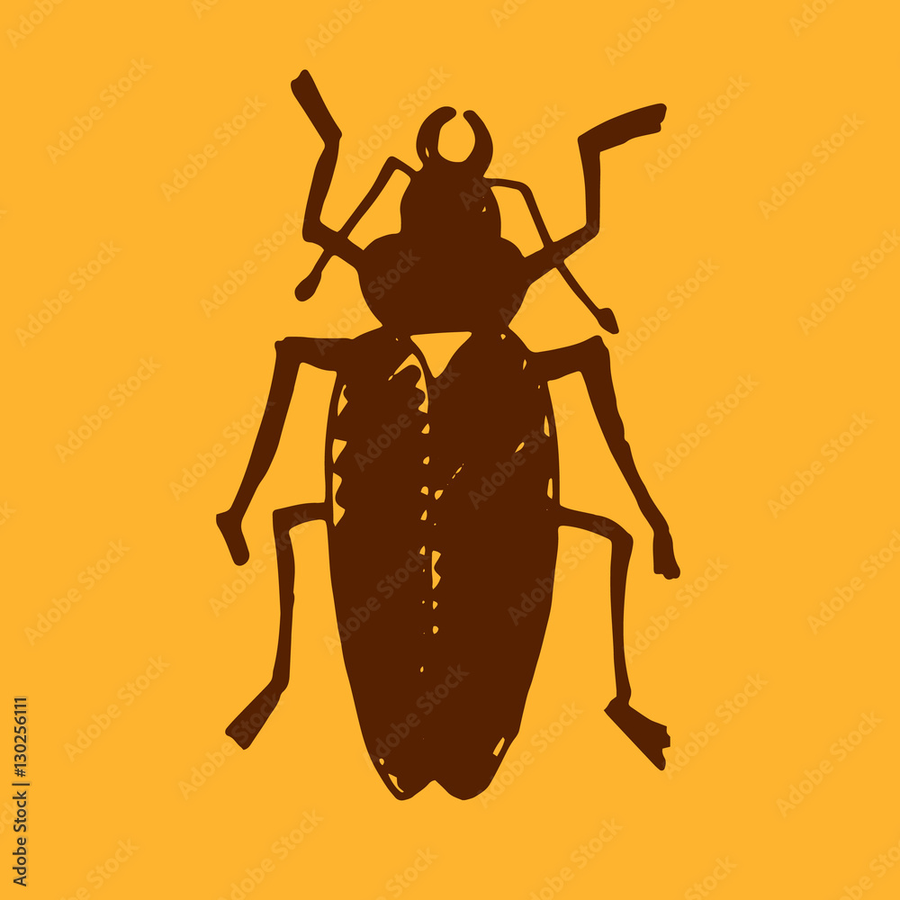 beetle, vector, insect, nature, bug, illustration, wildlife Stock ...