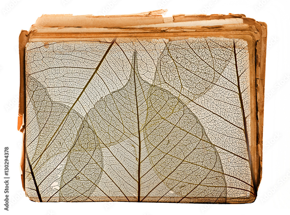 old book - old paper texture in detail Stock Photo | Adobe Stock