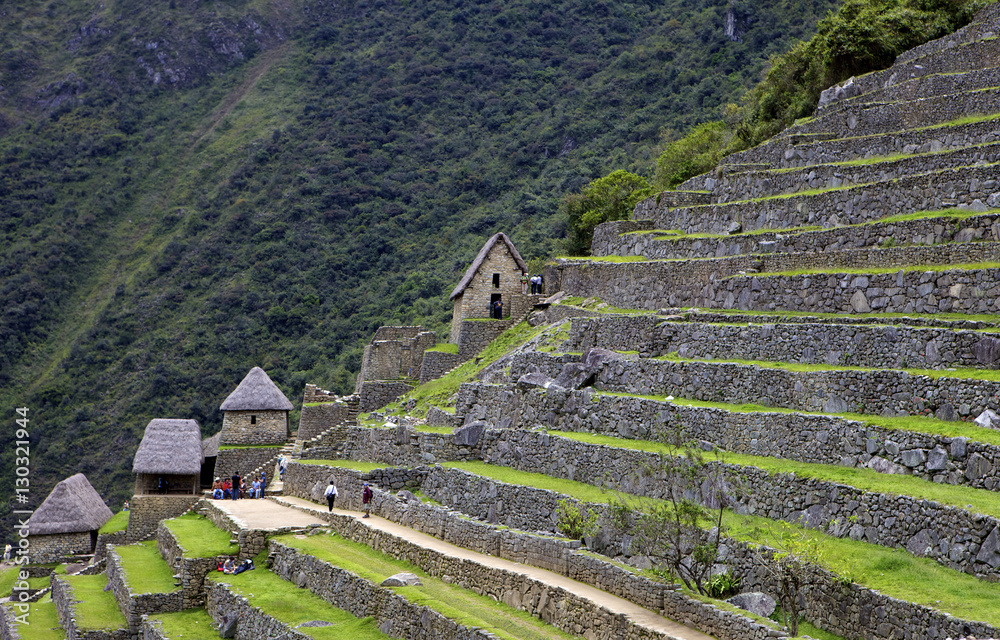 Terrace Farming Andes