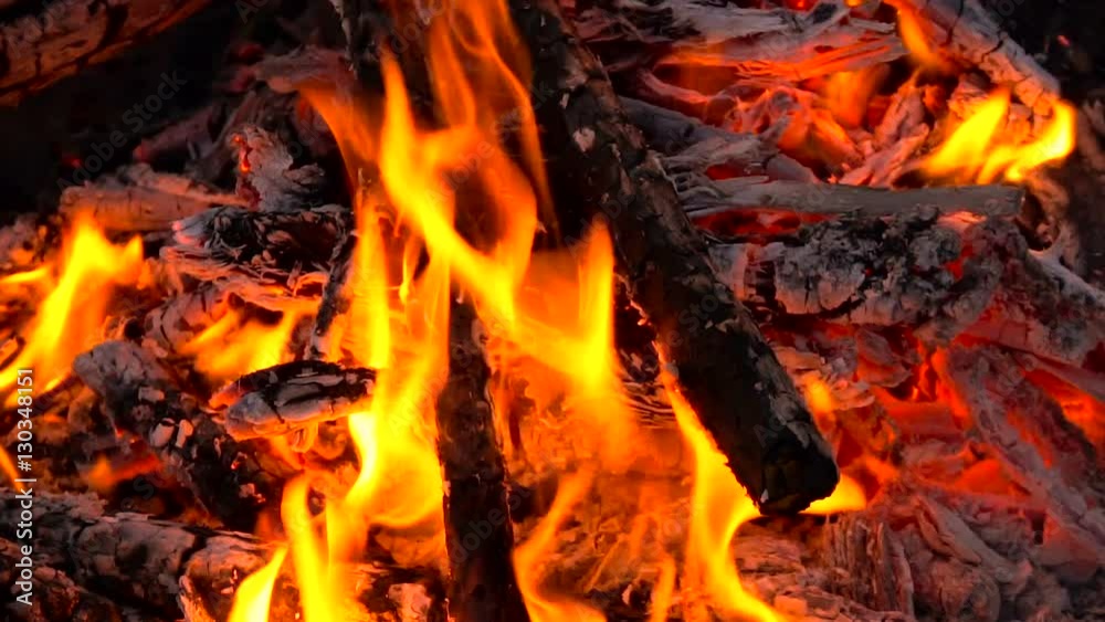 Beautiful Forest Fire Flames Close-Up Slow Motion Stock Video | Adobe Stock