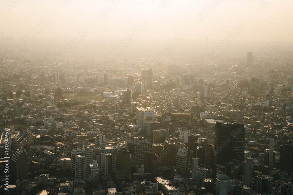 Tokyo cityscape Stock Photo | Adobe Stock