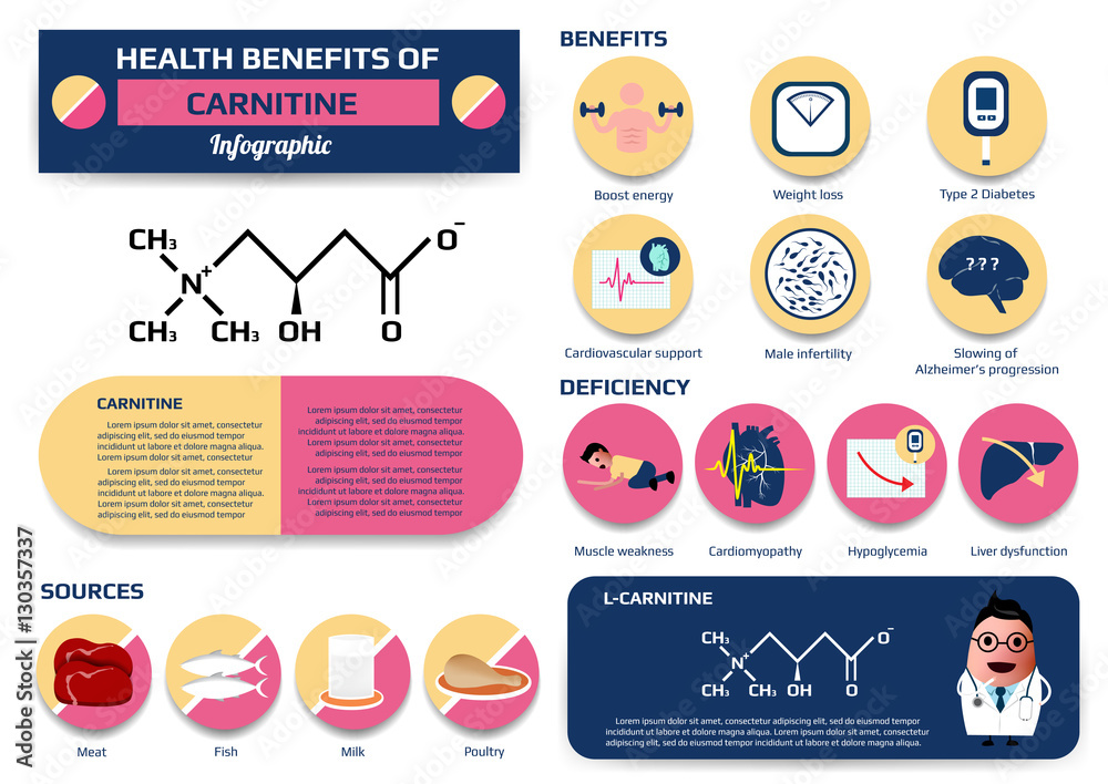Health benefits of carnitine infographic including of sources, benefits ...