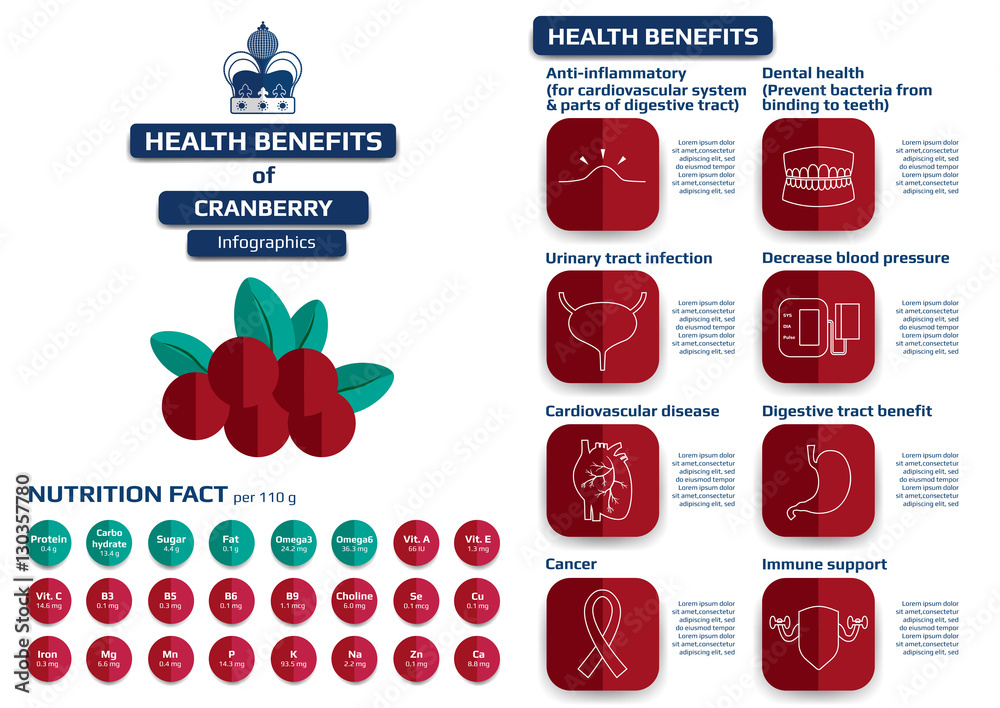 health benefits of cranberry infographic, supplement medical vector ...
