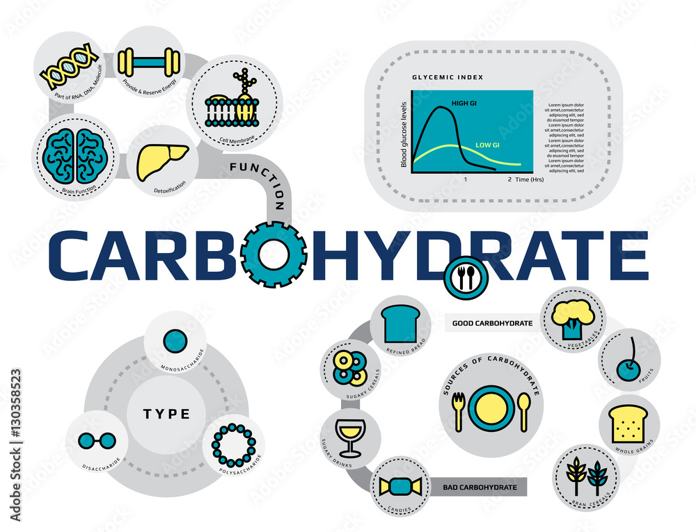 Infographic of sources, type and function of carbohydrate, flat line ...