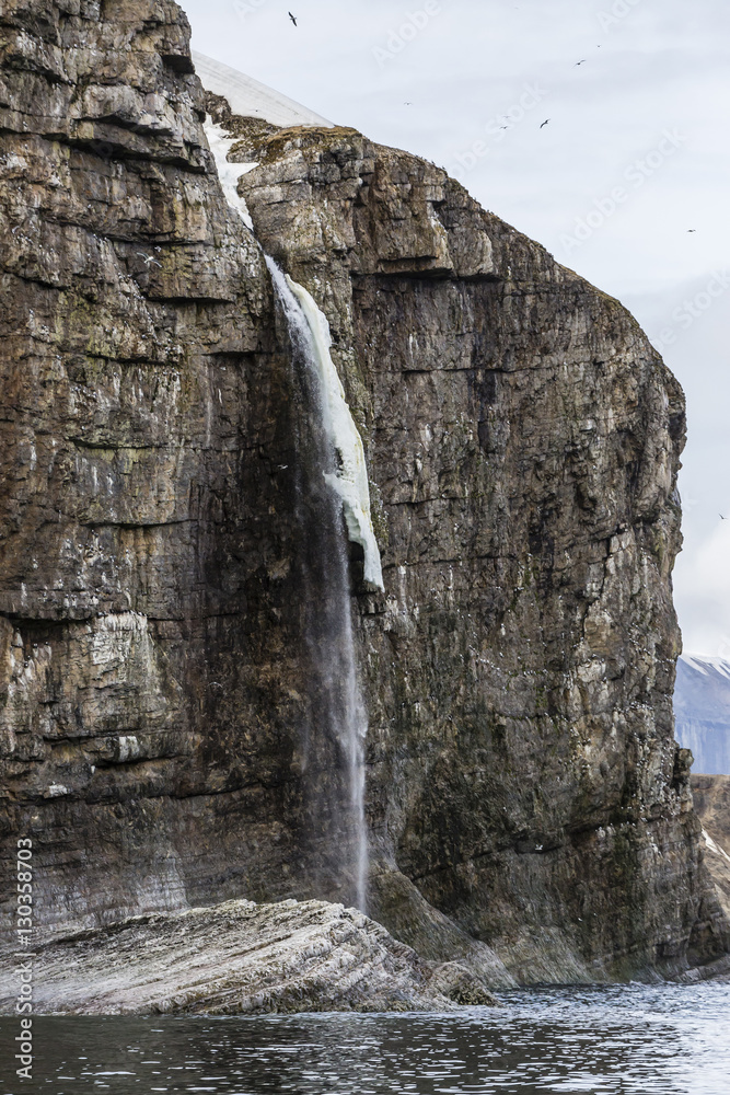 Steep cliffs filled with nesting birds on the south side of Bjornoya ...