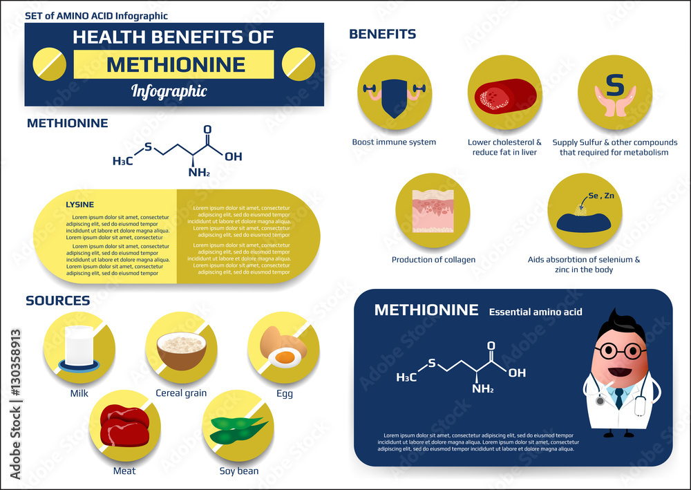Health benefits of methionine(essential amino acid) infographic ...