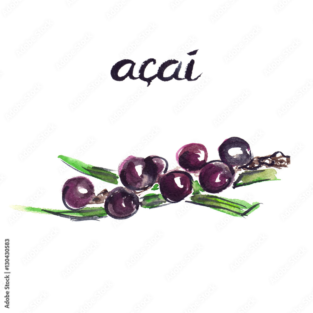 Watercolor painting and hand lettering of acai berries on white ...