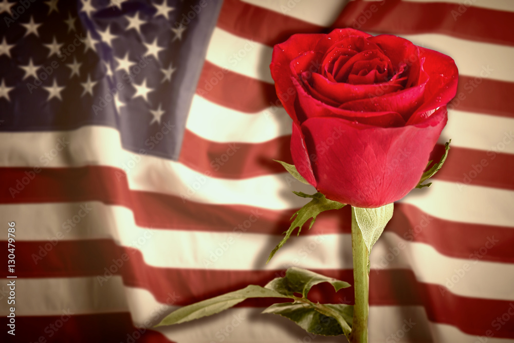 Rose on USA flag background. Symbol of America Stock Photo | Adobe Stock
