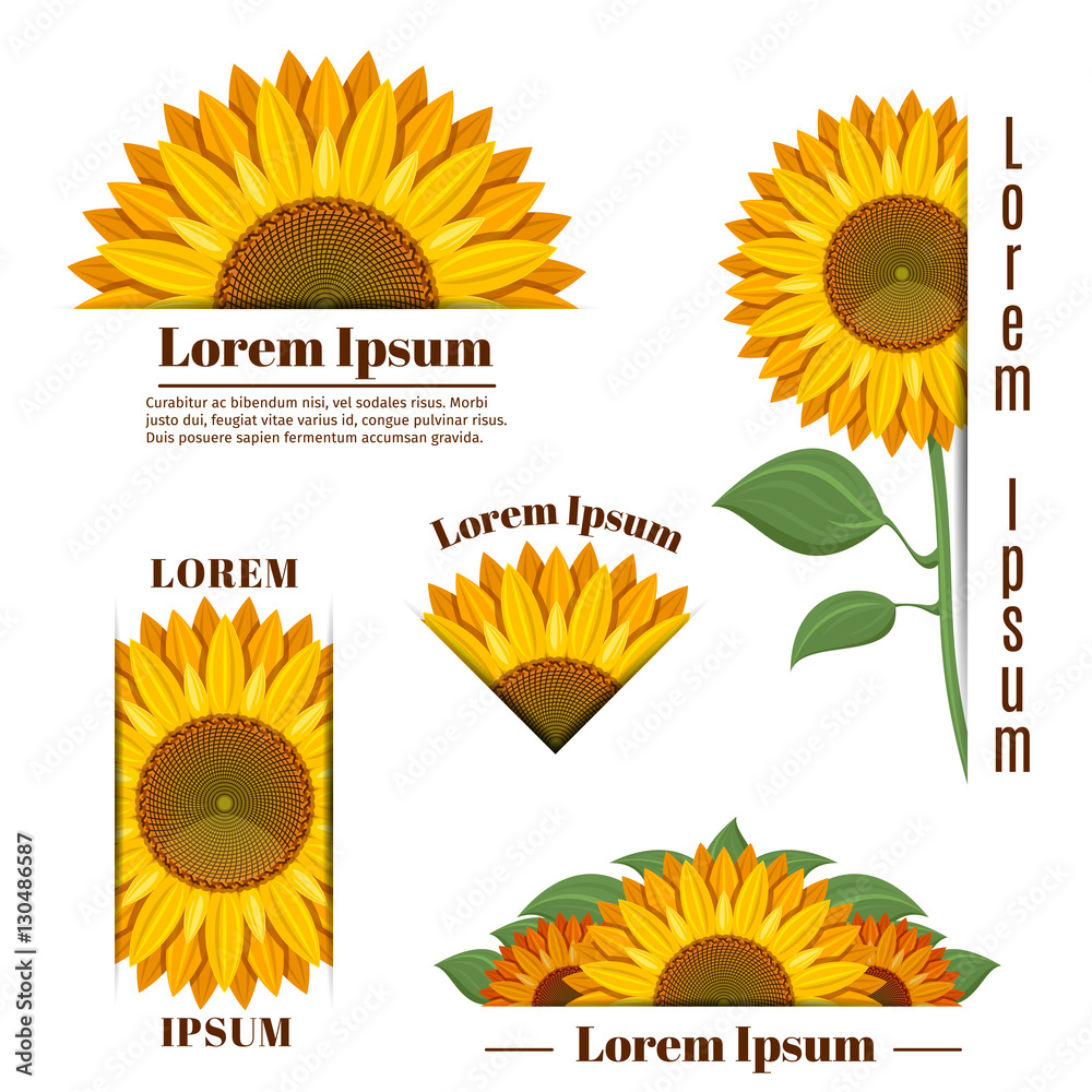 Sunflower banners and vector yellow sun flower labels with text Stock ...