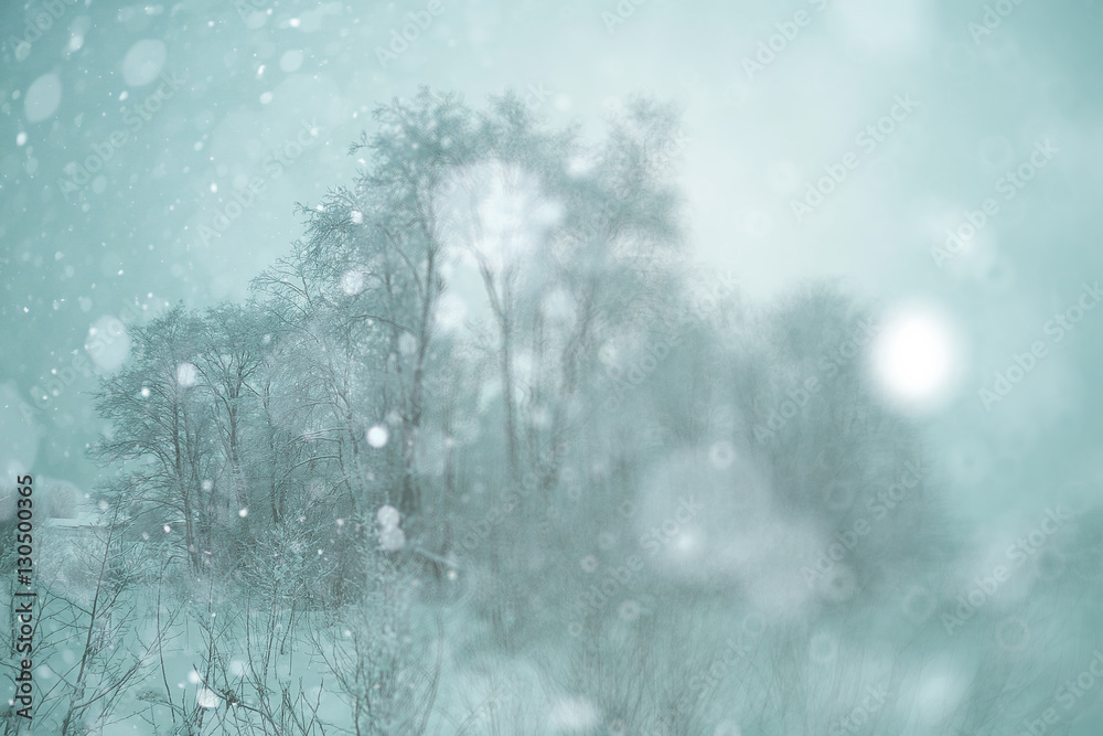 Winter forest blurred background snow landscape Stock Photo | Adobe Stock