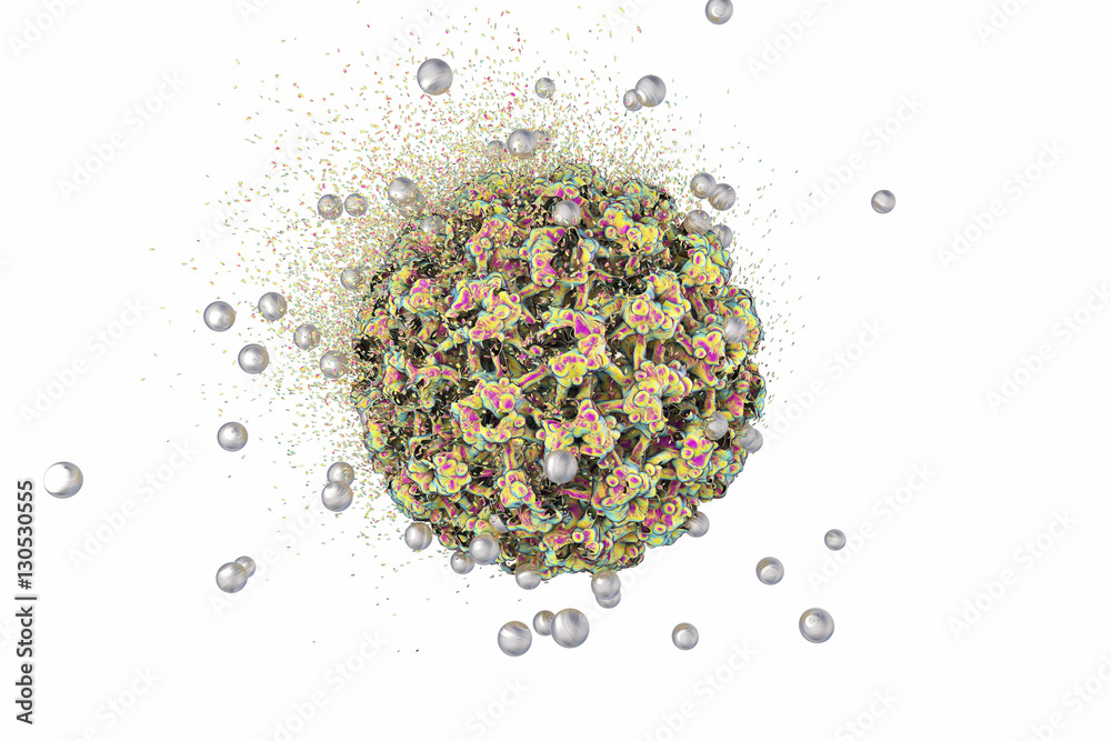 Destruction of Human Papillomavirus by silver nanoparticles, 3D ...